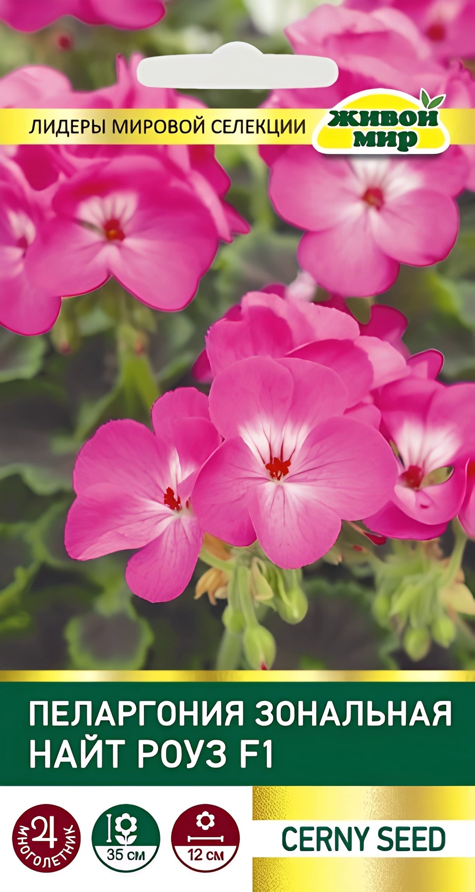 Купить семена Пеларгония зональная Найт Роуз F1 (Cerny seed) 3 шт, РБ ...